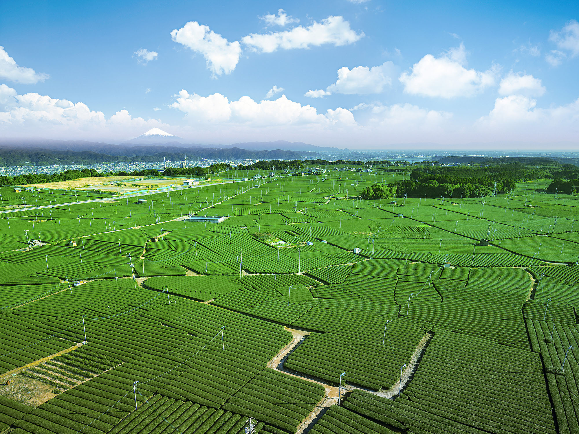 Shimada ― Brienz (1996) | Grand Tour of Switzerland in Japan